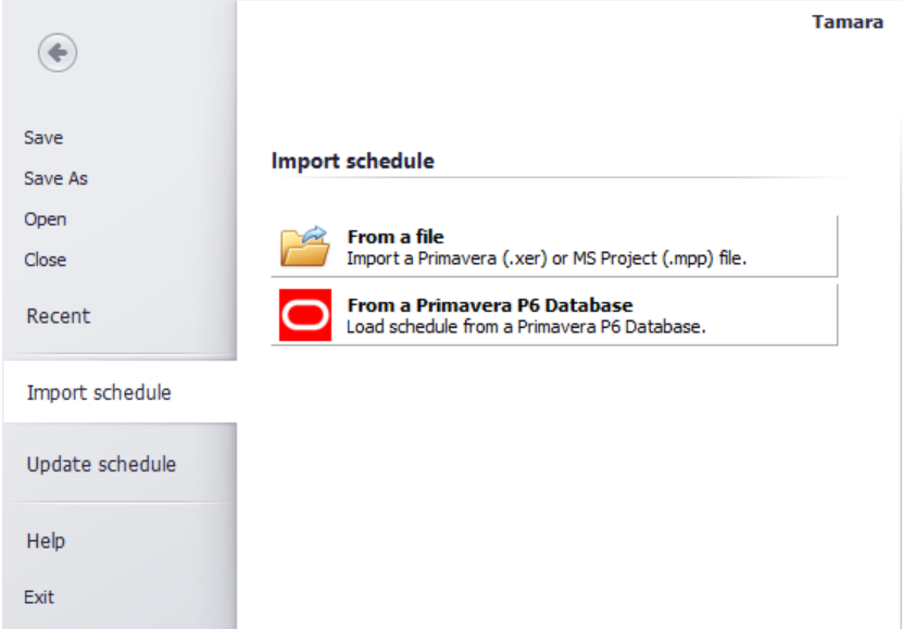 Importing a schedule model from Primavera or MS Project | Vose Software